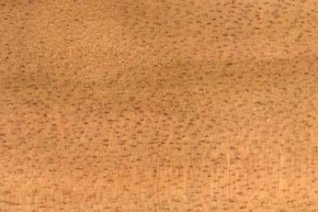 ファルカタ | Falcata | 木材博物館