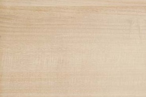 キリ | 桐 | 木材博物館